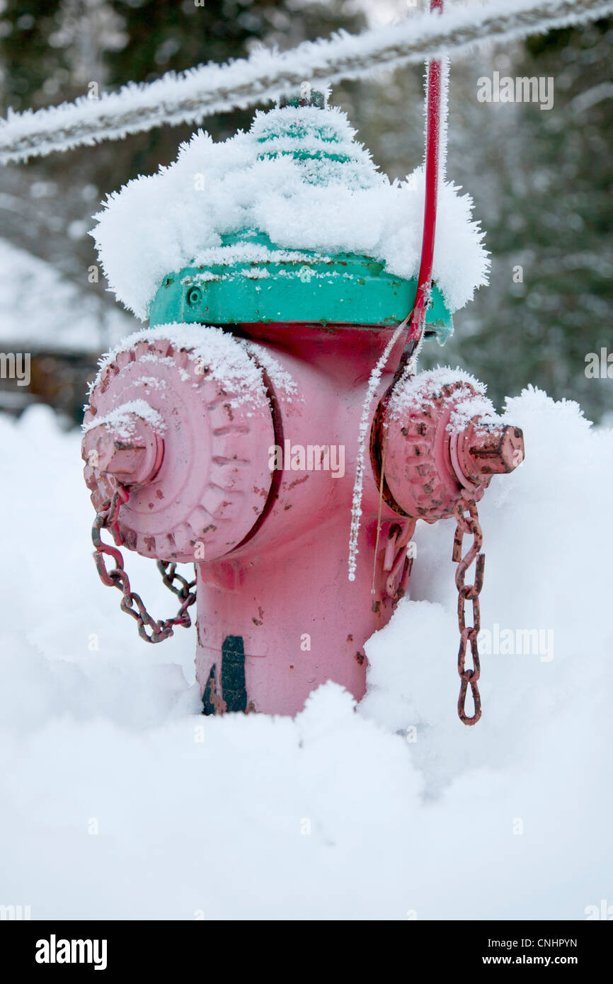 Red fire hydrant in snow hi-res stock photography and images - Alamy