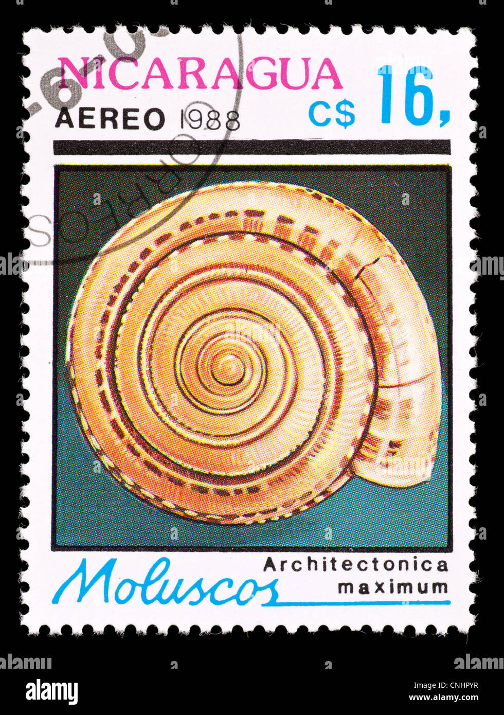 Postage stamp from Nicaragua depicting staircase or sundial sea snail ...