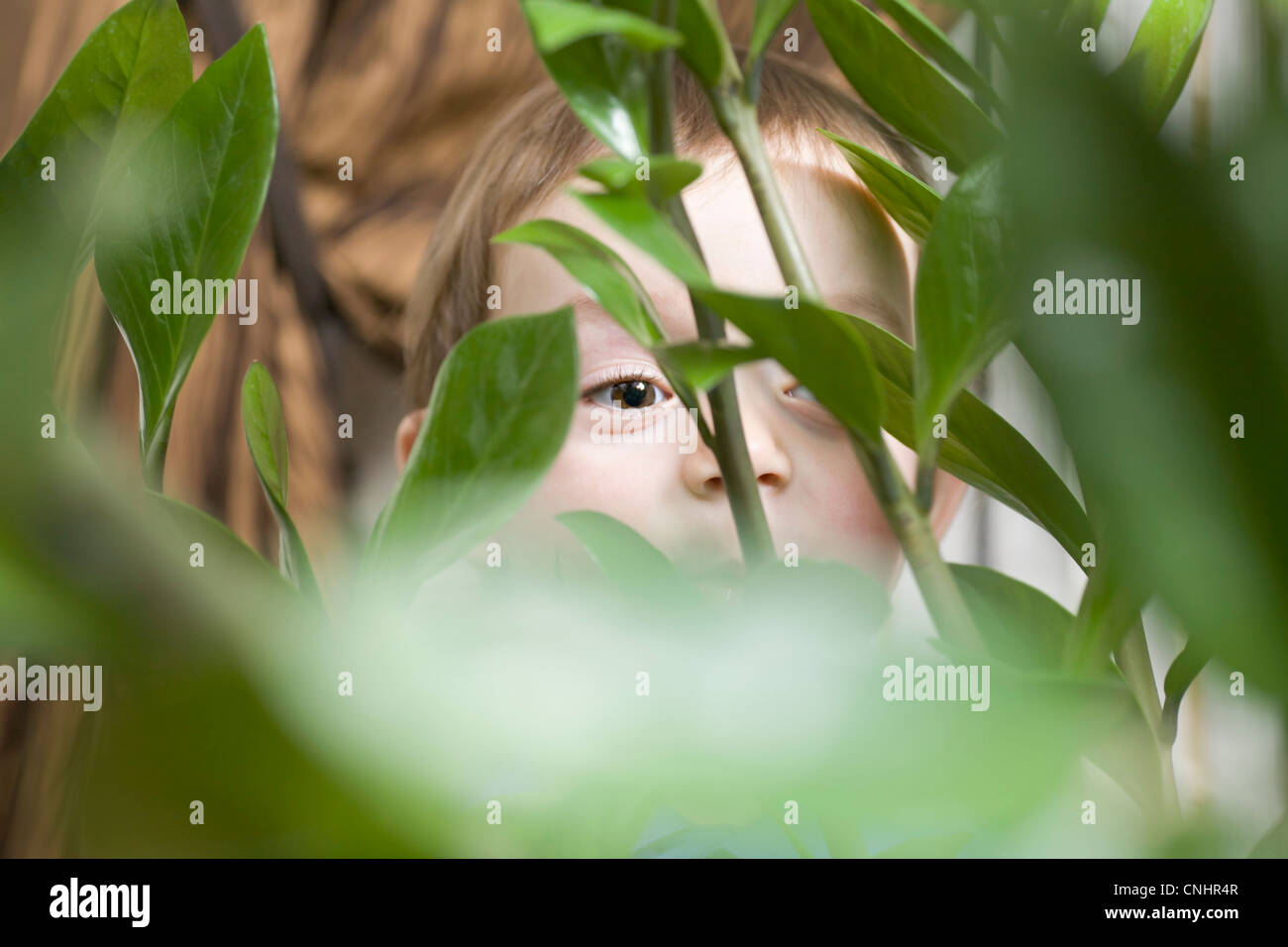 Child hide behind leaf hi-res stock photography and images - Alamy