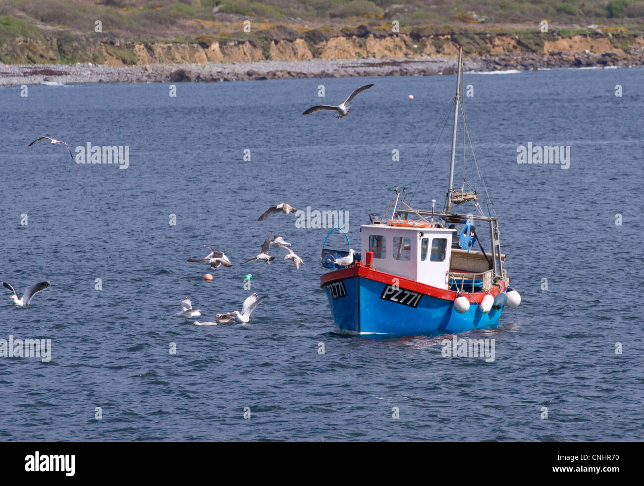 Commercial fishing at Coverack on the Lizard Peninsula in Cornwall ...