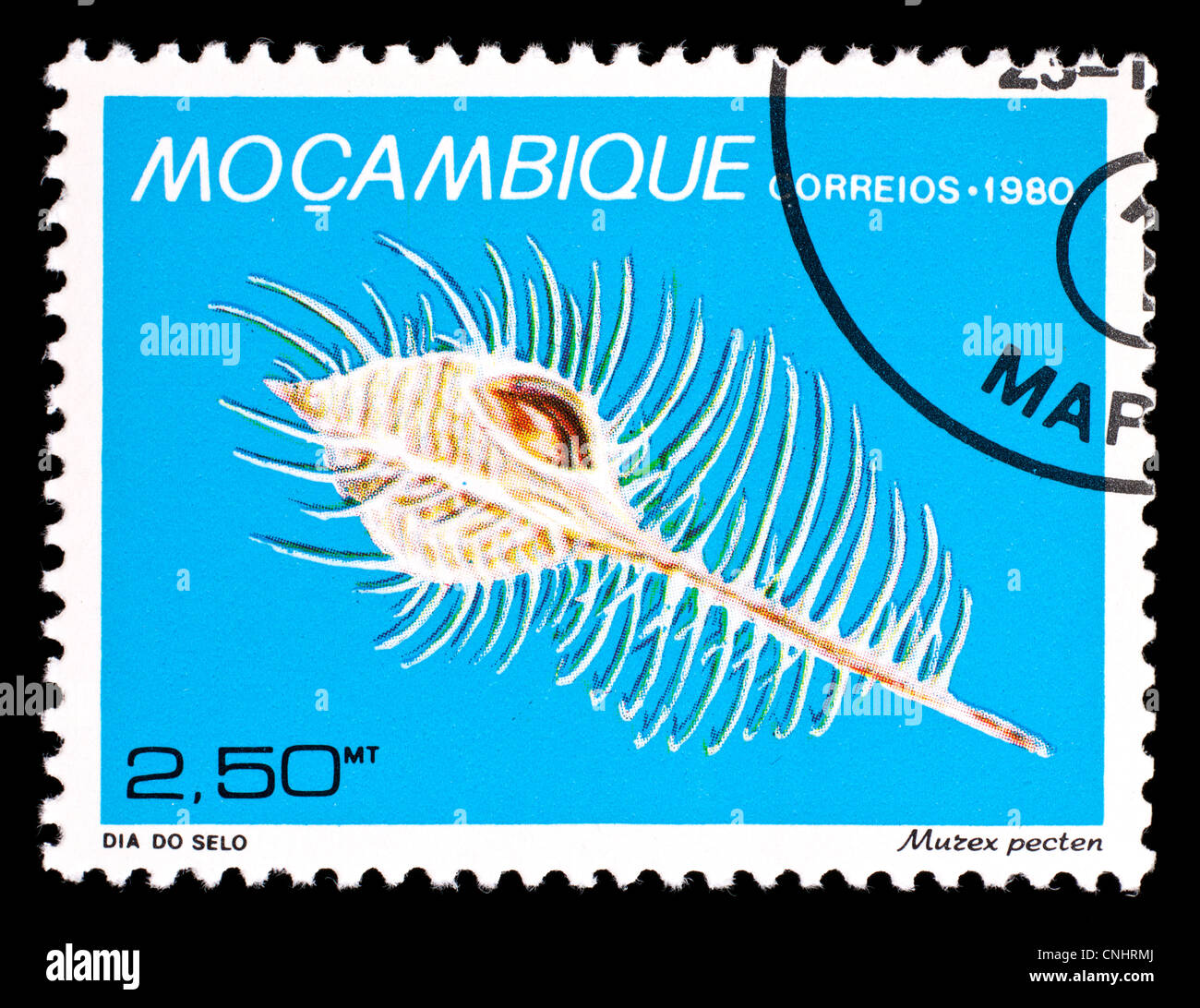 Postage stamp from Mozambique depicting a sea snail, the Venus comb ...