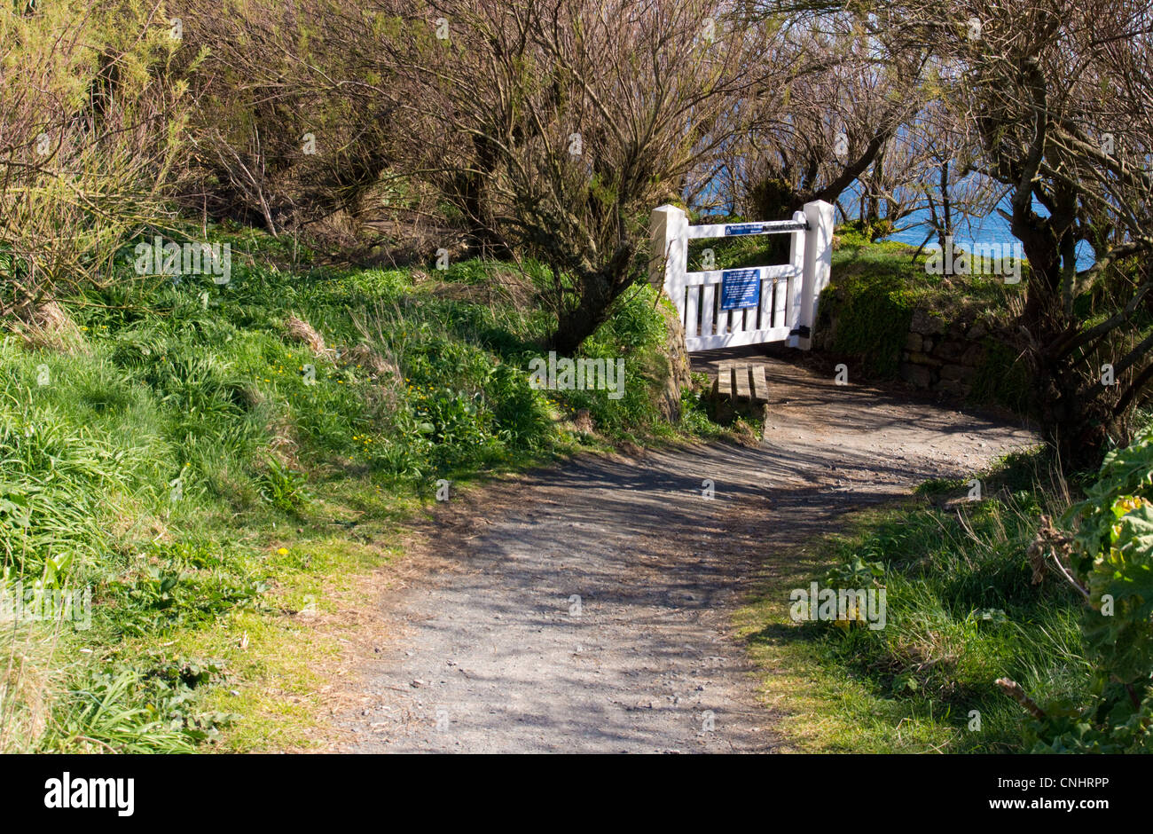 Lizard Point in Cornwall England UK Stock Photo - Alamy