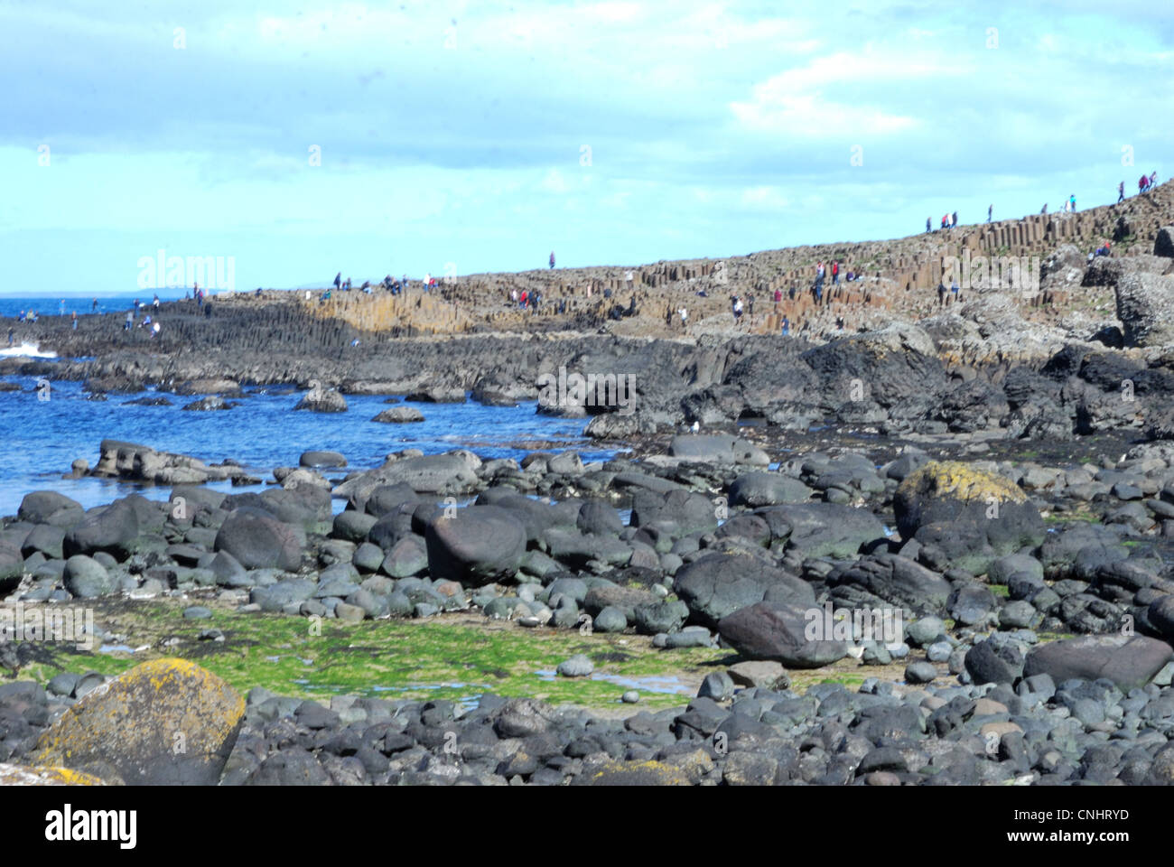 Giant's Causeway, National Trust, North Antrim Stock Photo - Alamy