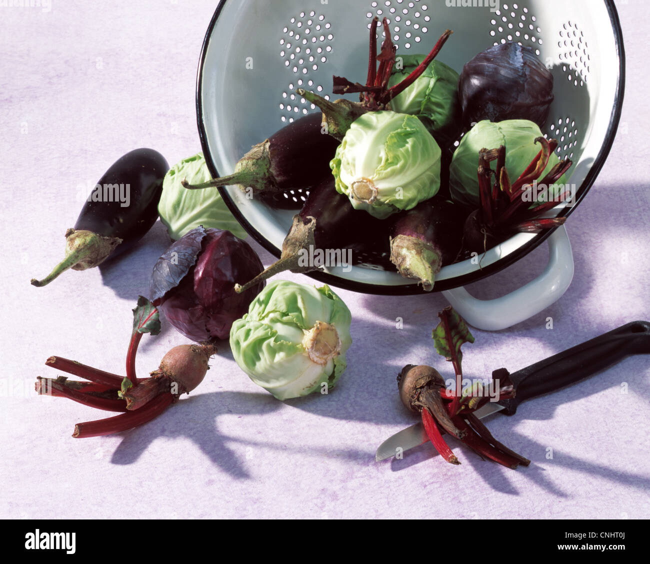 Still: mini - vegetables: red cabbage, white cabbage, aubergines and ...