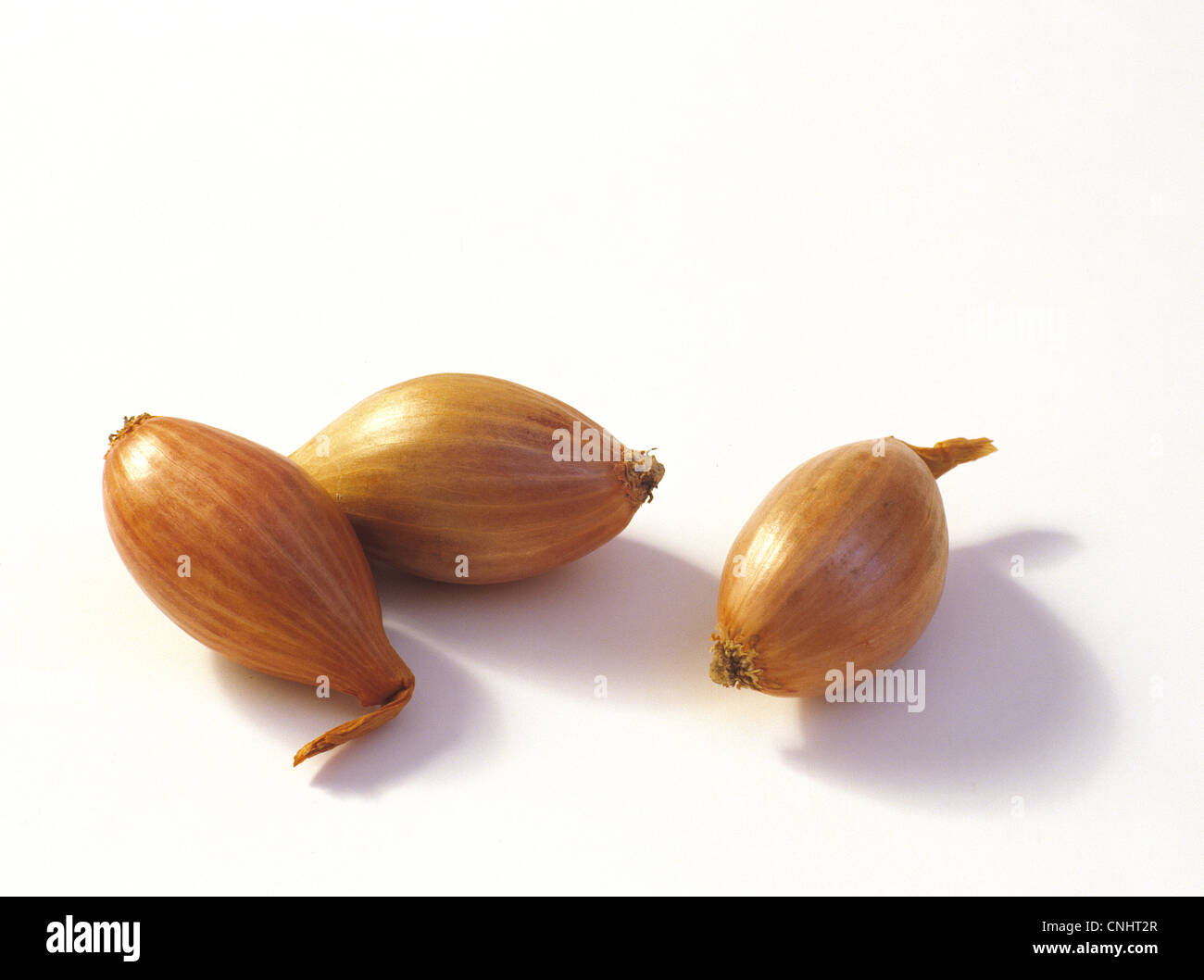 Cut out: Shallot Stock Photo - Alamy