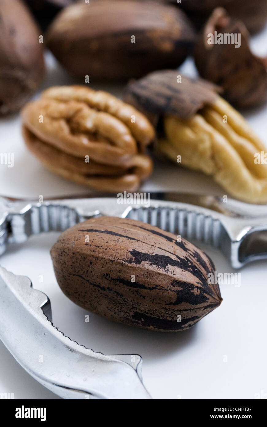 Open nuts hi-res stock photography and images - Alamy