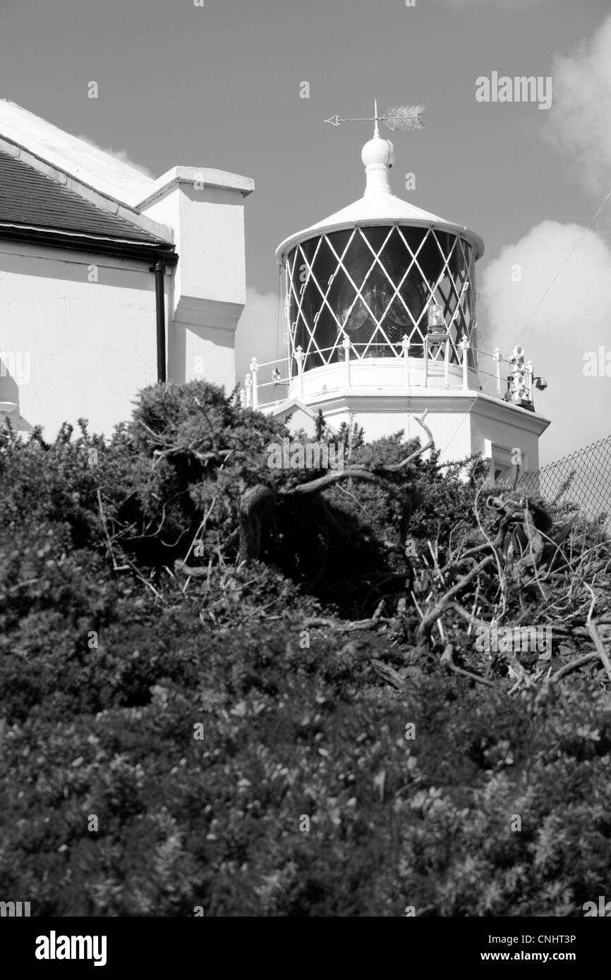 Lizard point cornwall Black and White Stock Photos & Images - Alamy