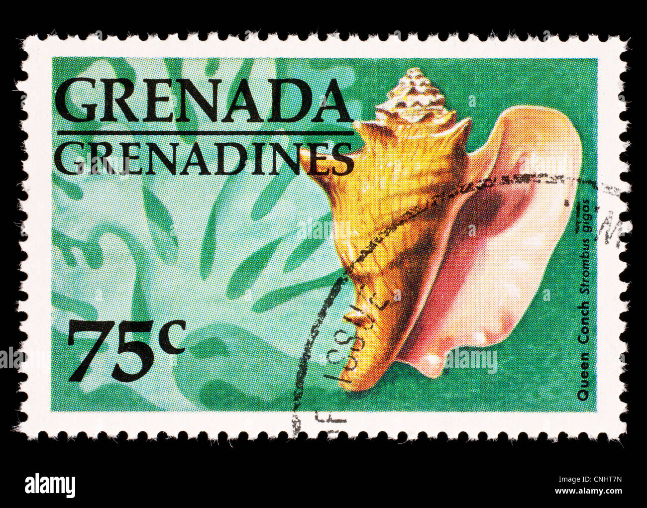 Postage stamp from Grenada Grenadines depicting a queen conch (Strombus ...