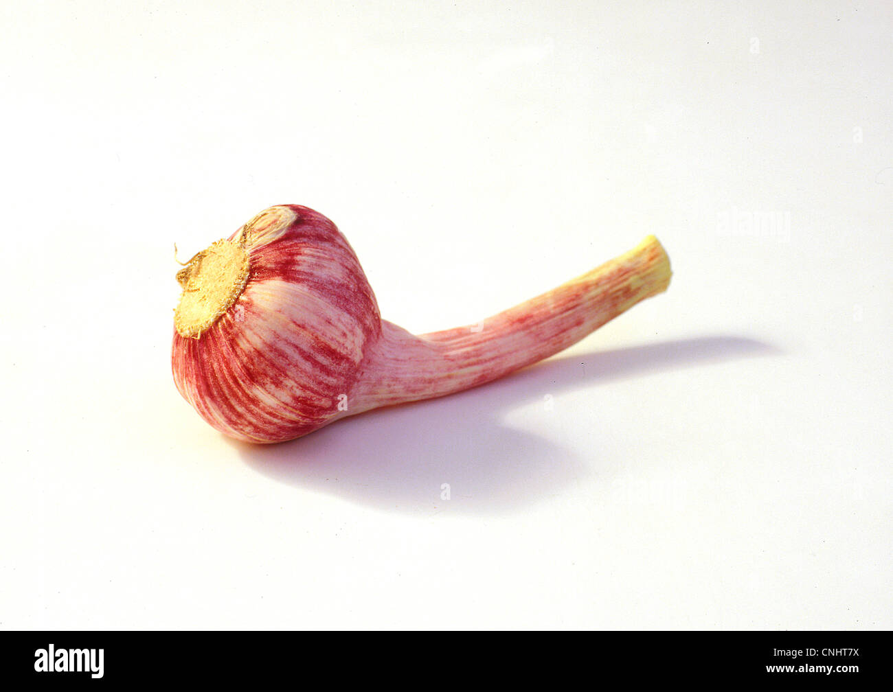 Cut out: Garlic Stock Photo - Alamy