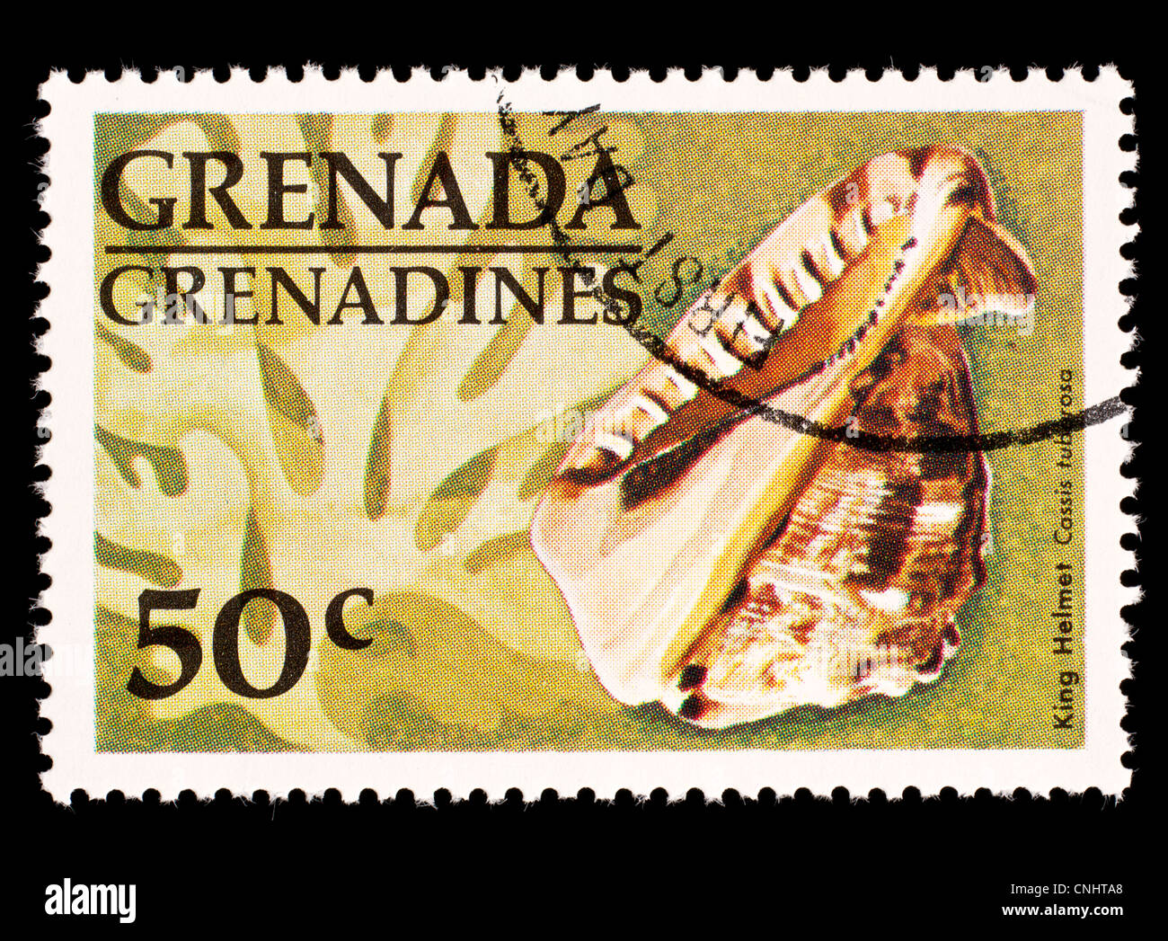 Postage stamp from Grenada Grenadines depicting a marine snail: king ...