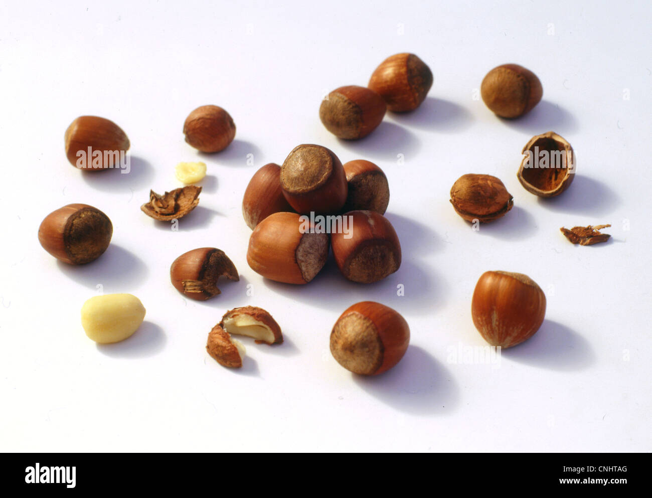 Cut out: Hazelnuts Stock Photo - Alamy
