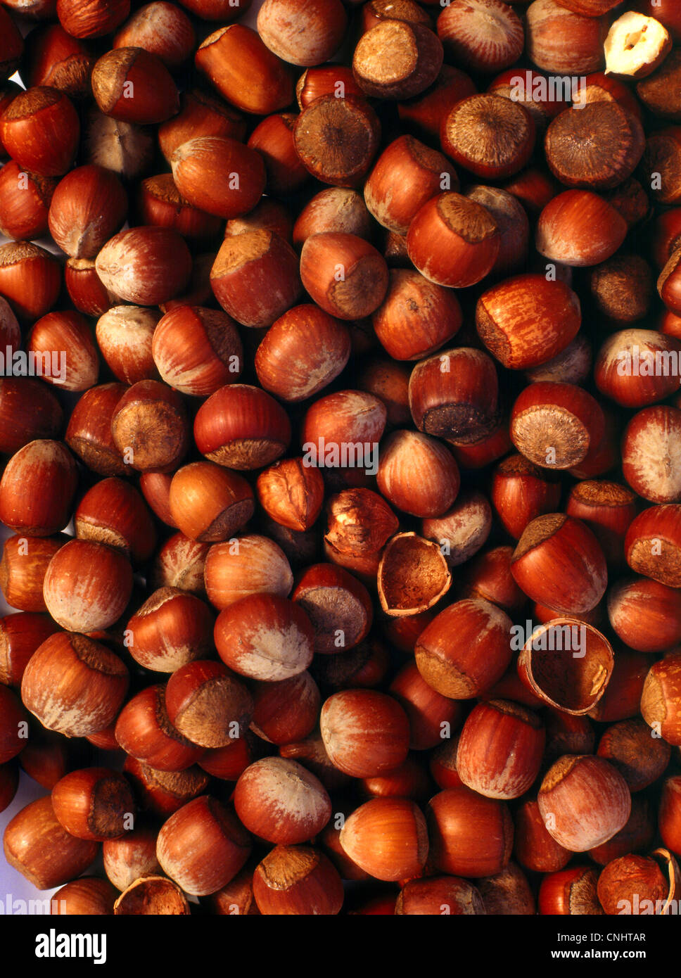 Cut out: Hazelnuts Stock Photo - Alamy
