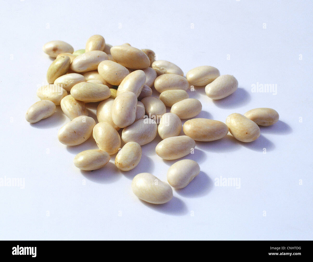 Cut out: White beans Stock Photo - Alamy