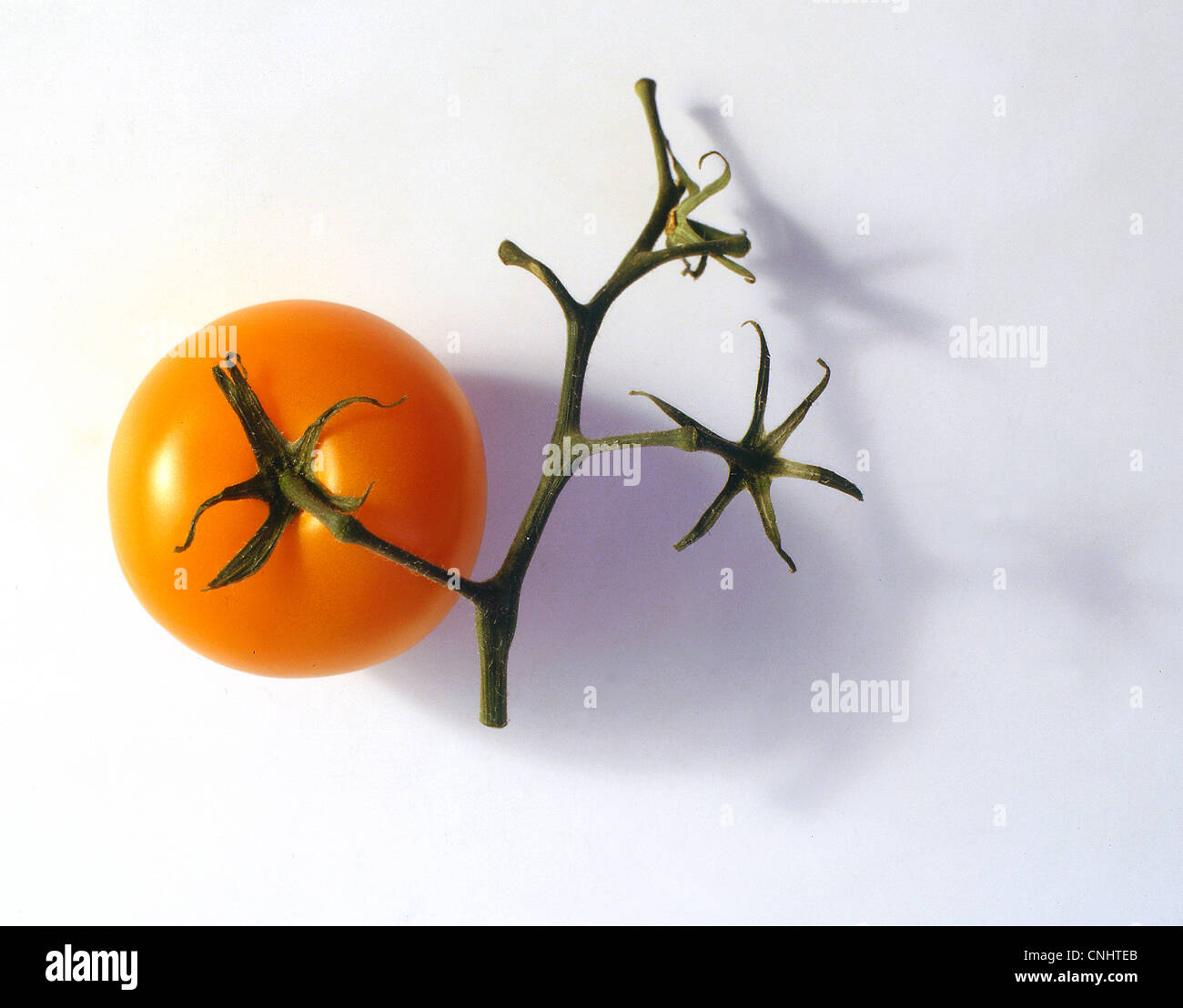 Cut out: Tomato Stock Photo - Alamy