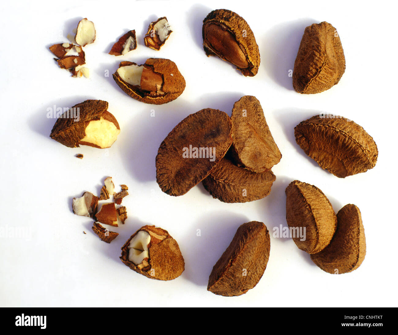 Cut out: Brazil nuts Stock Photo - Alamy