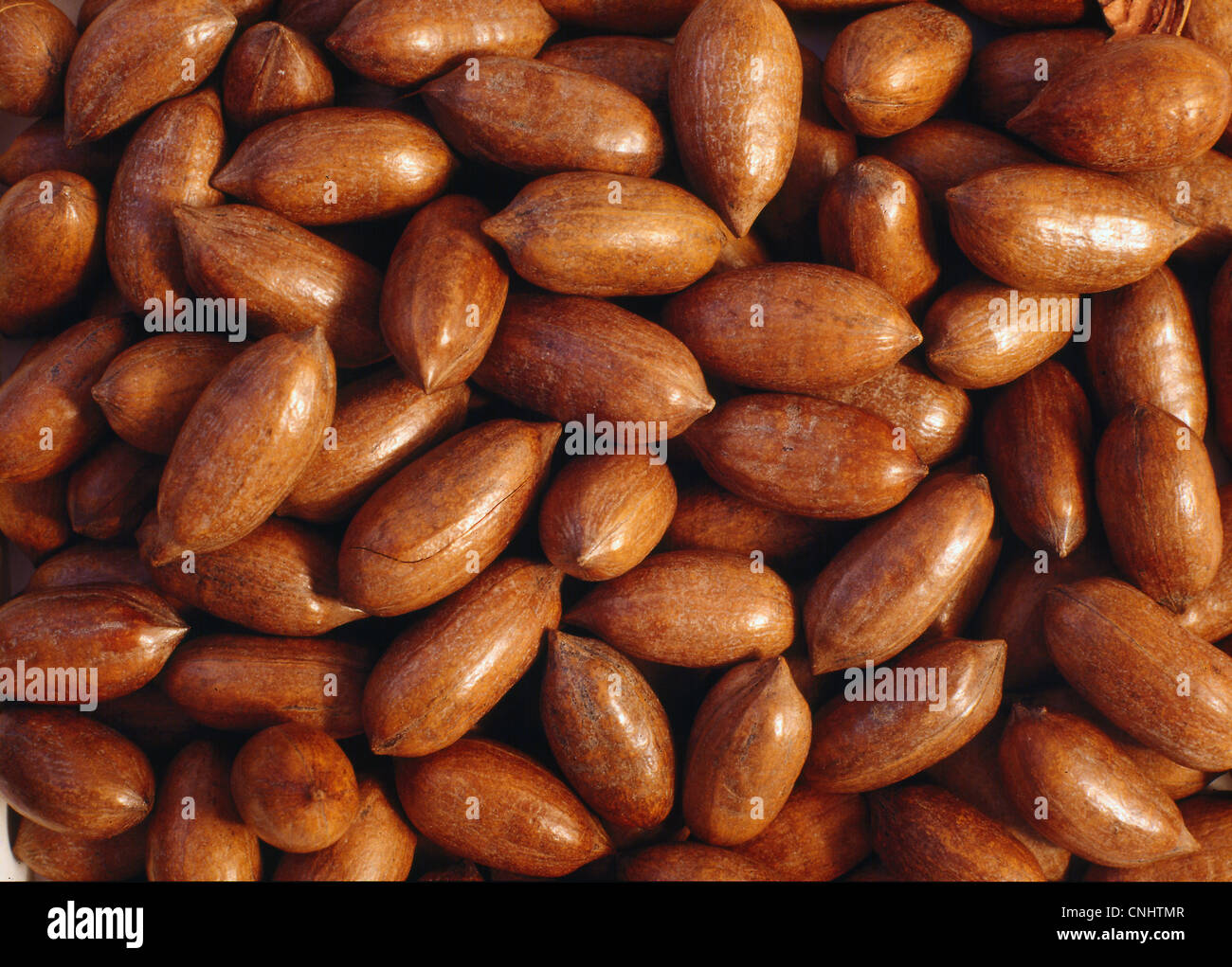 Still: Pecan nuts Stock Photo - Alamy