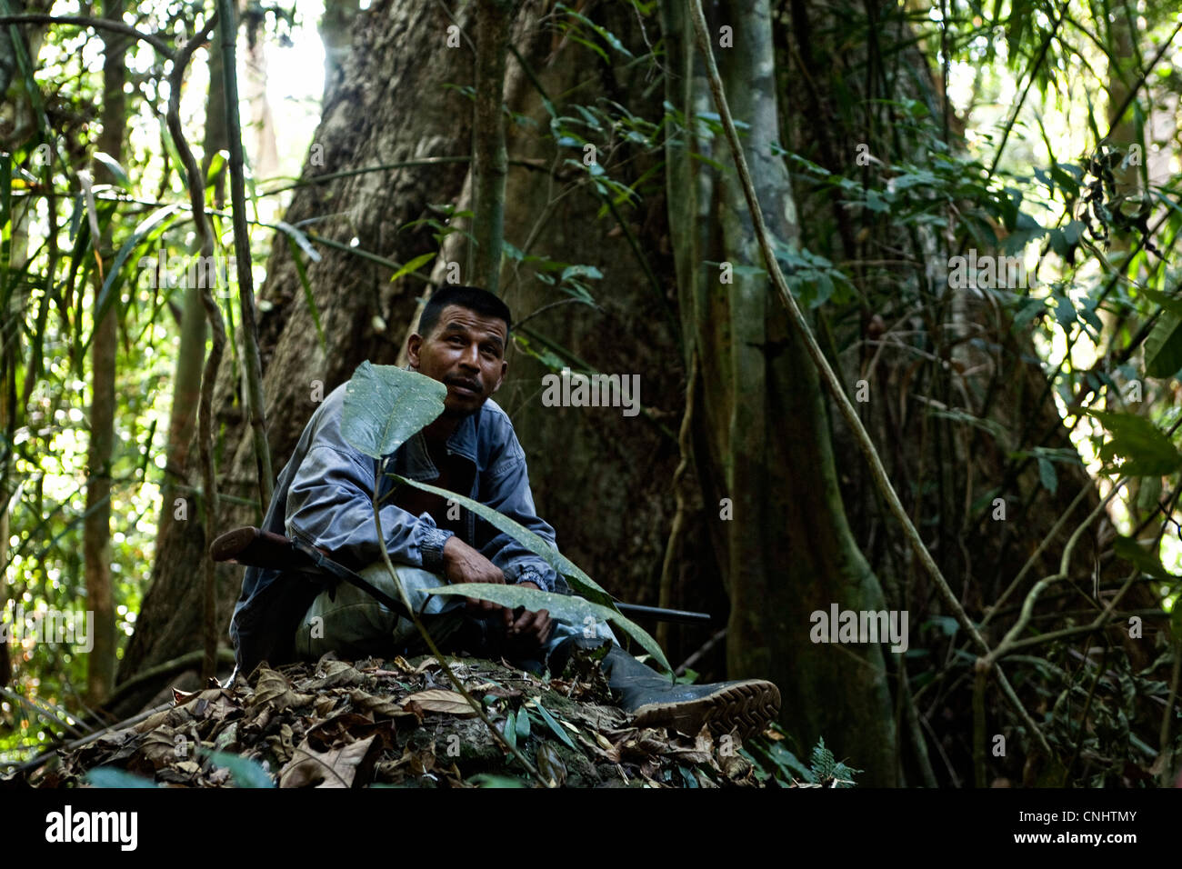 A hunter keeps a look out as the others walk towards camp in the jungle ...
