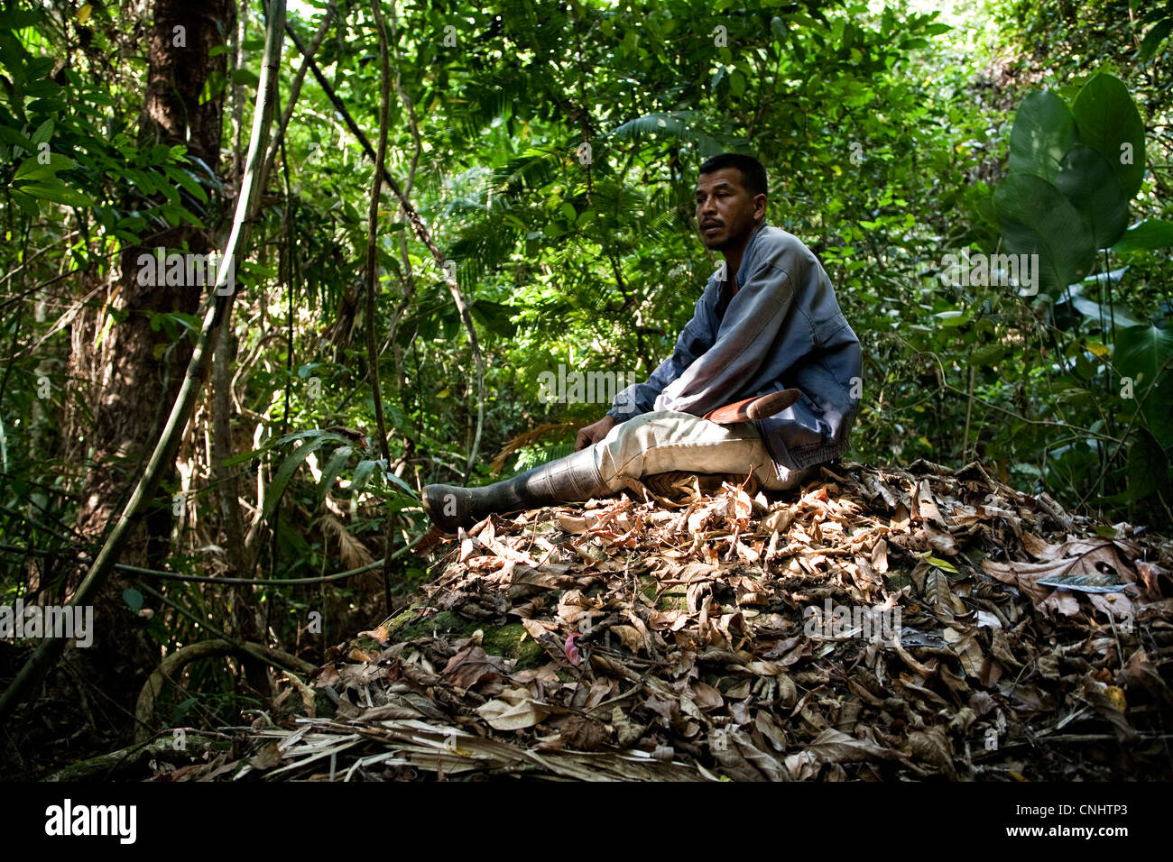 A hunter keeps a look out as the others walk towards camp in the jungle ...
