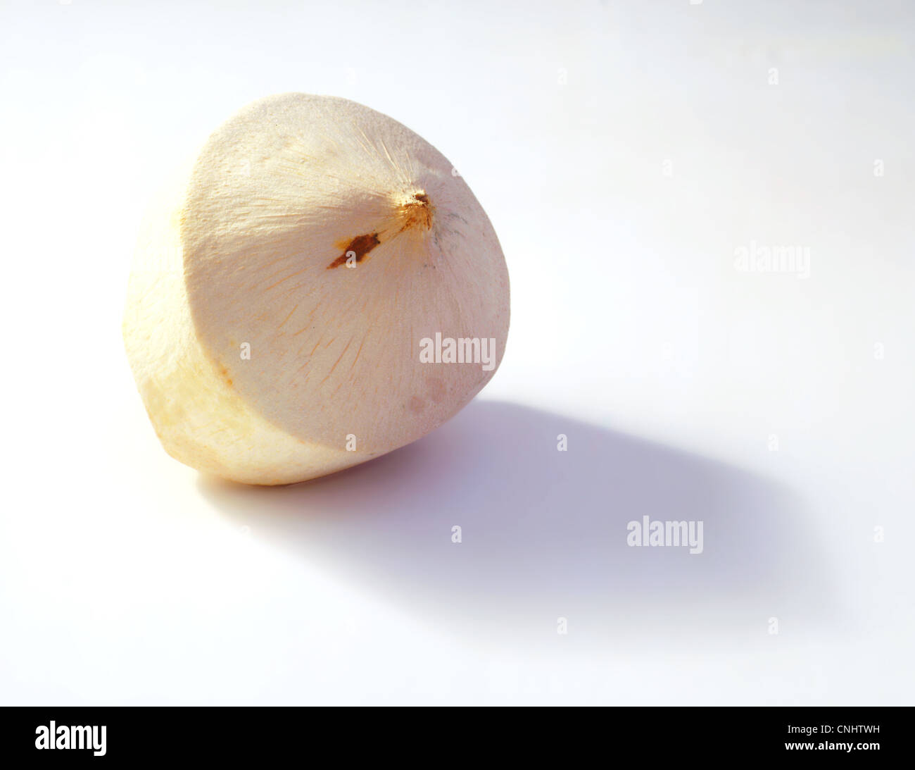 Cut out: Coconut Stock Photo - Alamy