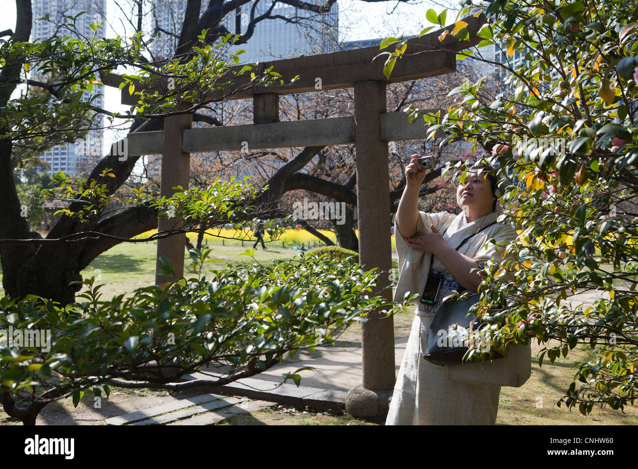 Tokyo in spring hi-res stock photography and images - Alamy