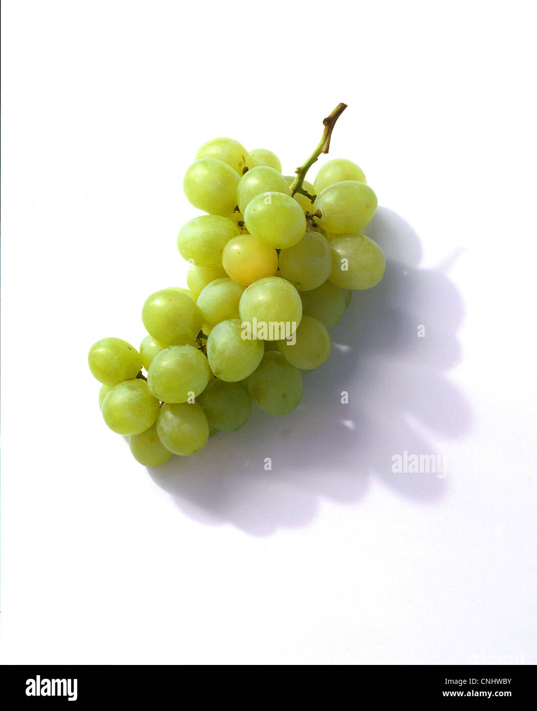Cut out: Green grapes Stock Photo - Alamy