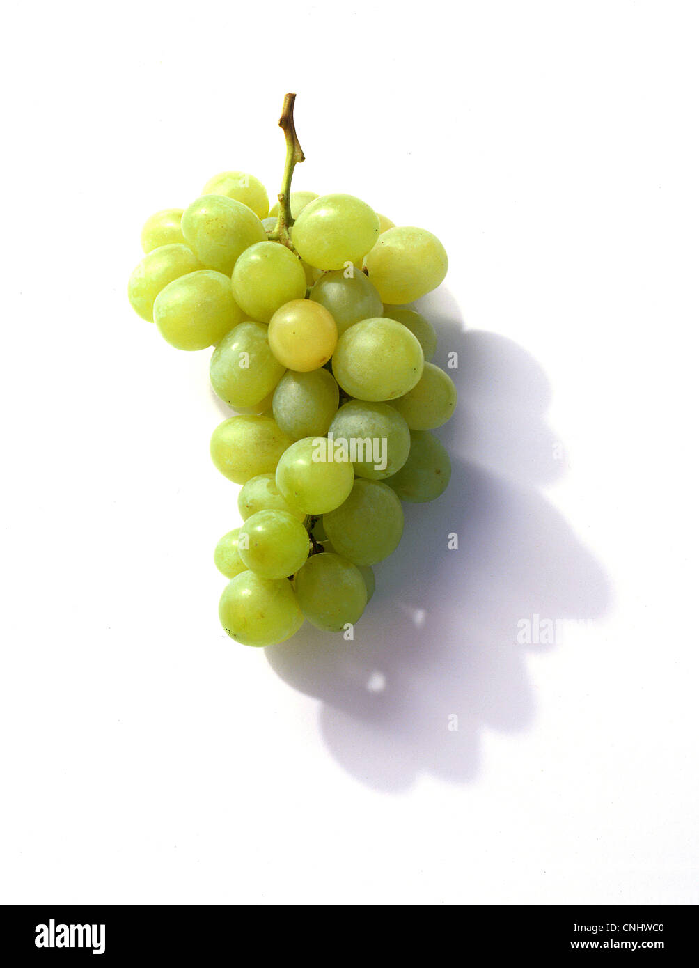Cut out: Green grapes Stock Photo - Alamy