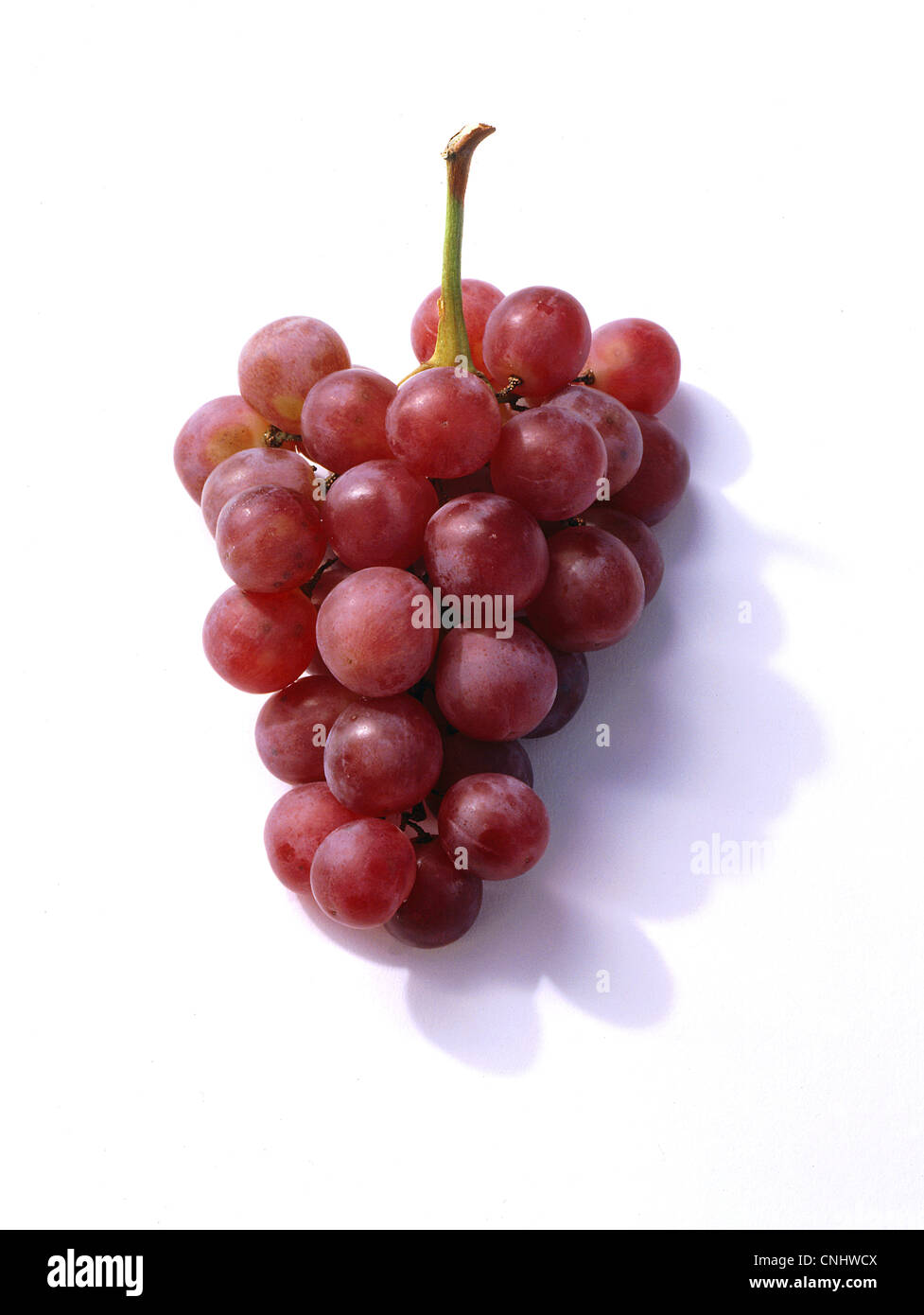 Cut out: Blue grapes Stock Photo - Alamy