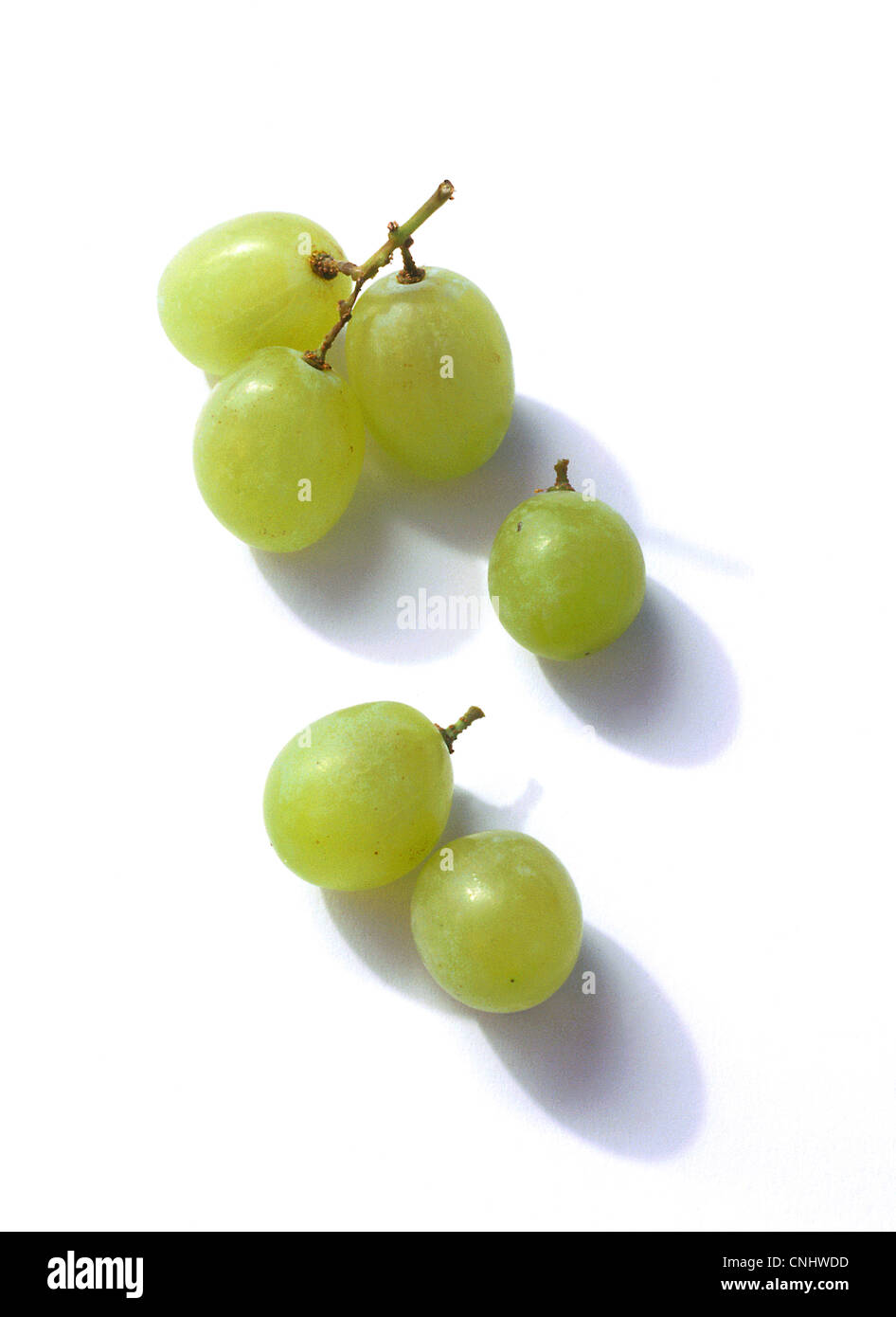 Cut out: Green grapes Stock Photo - Alamy