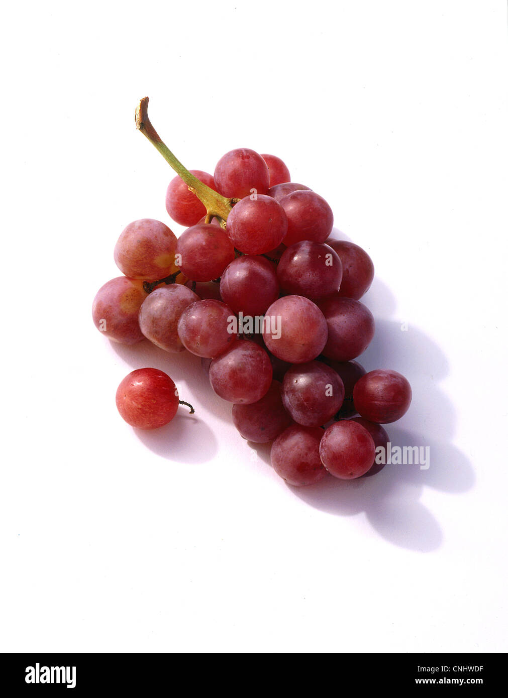 Cut out: Blue grapes Stock Photo - Alamy