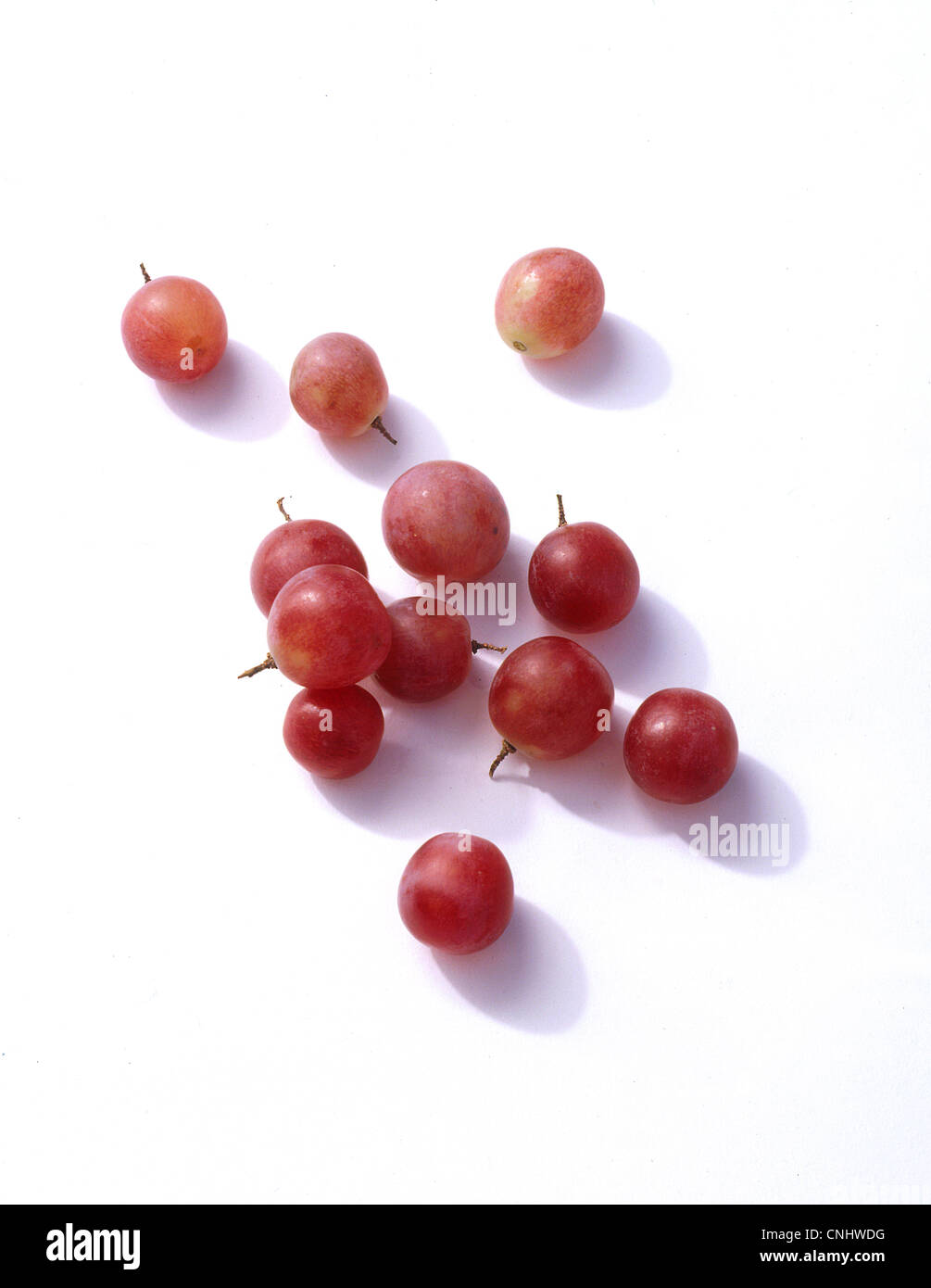 Cut out: Blue grapes Stock Photo - Alamy