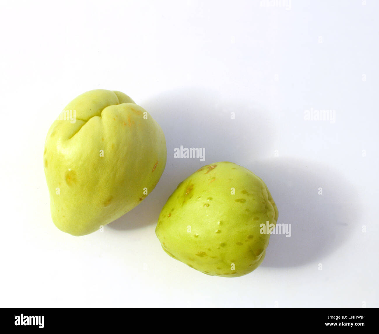 Chocho hi-res stock photography and images - Alamy