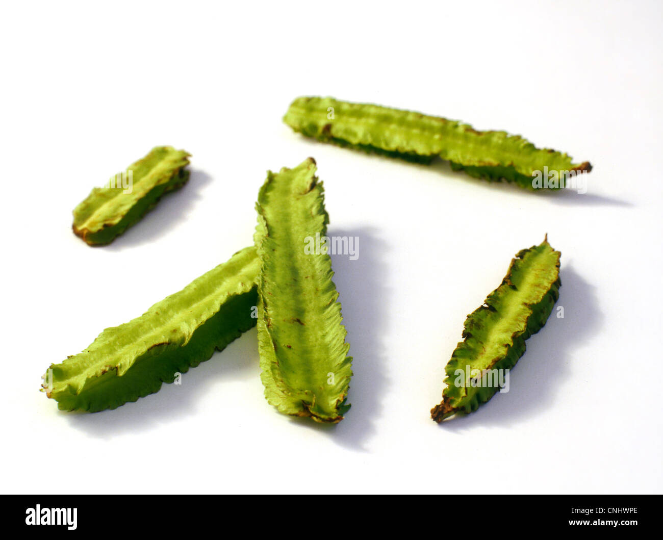 Goa beans hi-res stock photography and images - Alamy