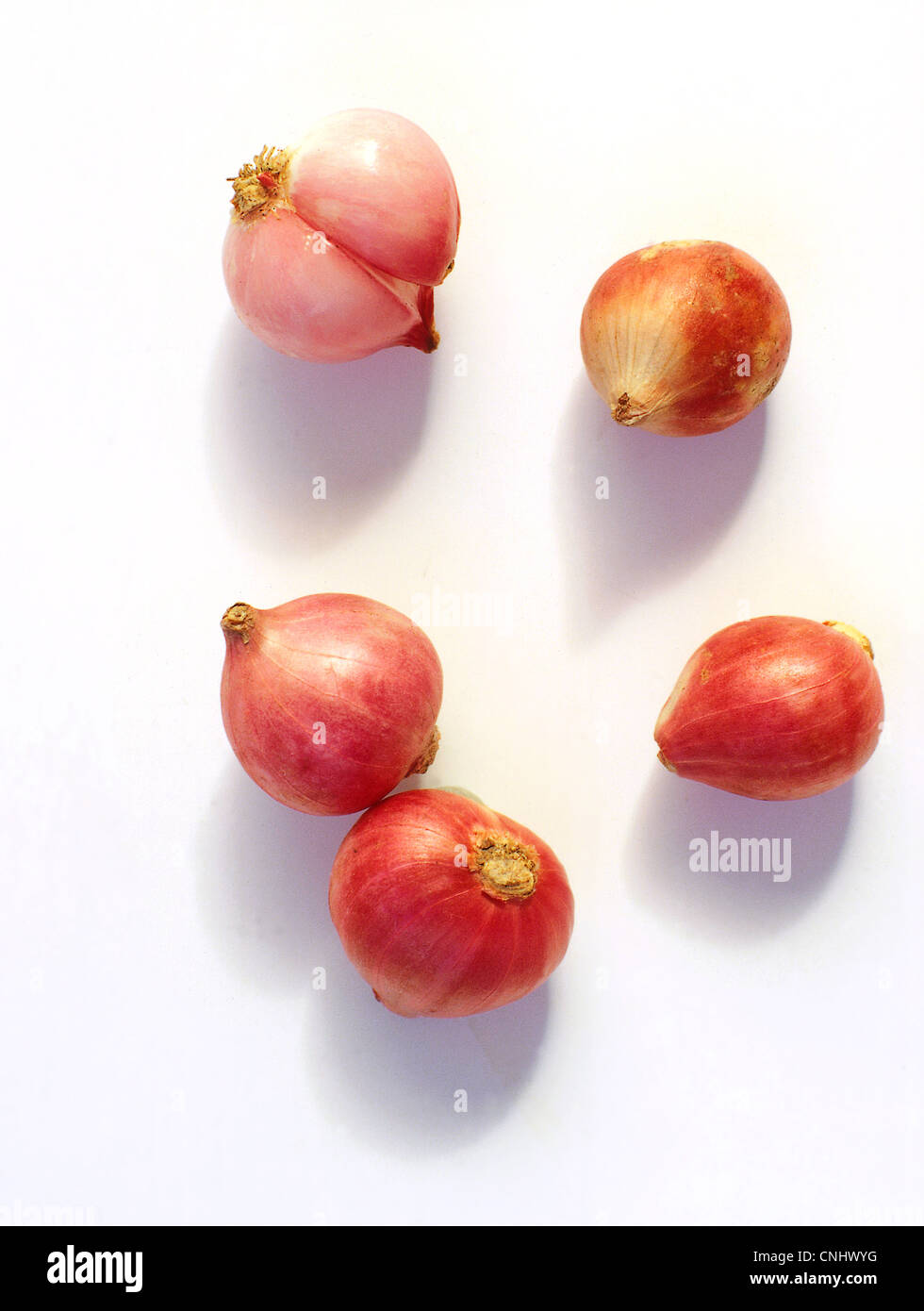 Cut out: Shallots Stock Photo - Alamy