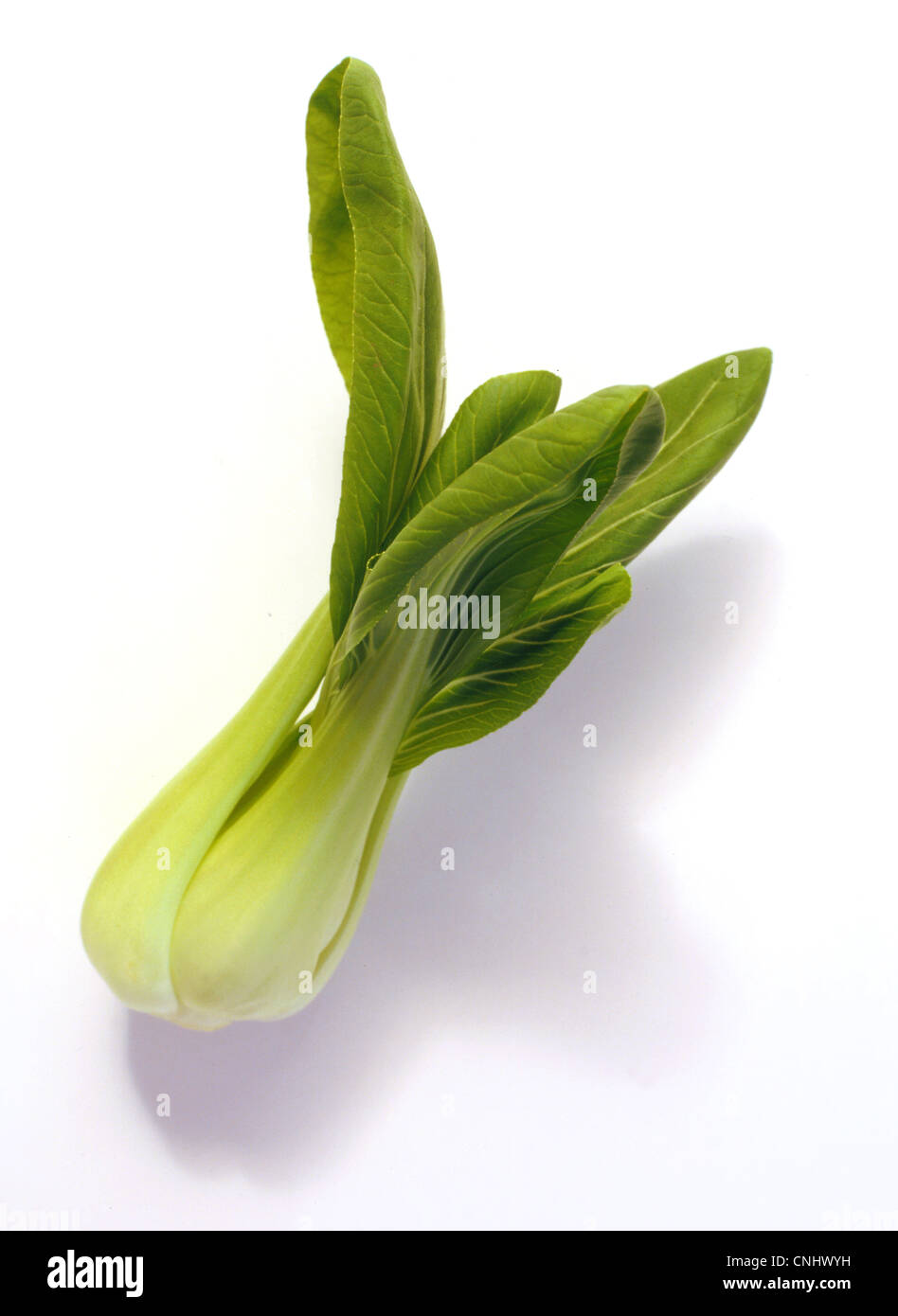 Paksoi High Resolution Stock Photography and Images - Alamy