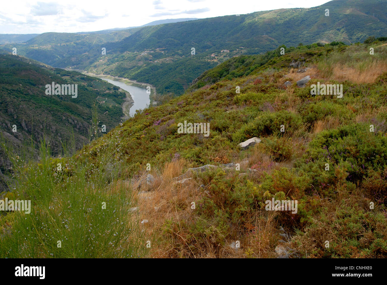 River Sill Canion,Ribera Sacra , wine region, Galicia, Spain Stock ...