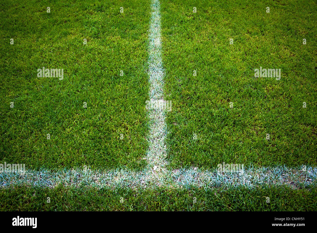 Sport grounds concept - Football/soccer pitch (color toned image Stock ...