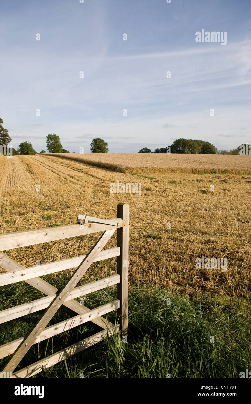 Opening gate gate hi-res stock photography and images - Alamy