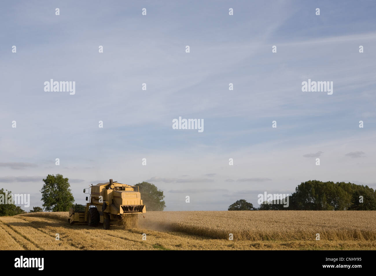 Combine harvester in wheat field Stock Photo - Alamy