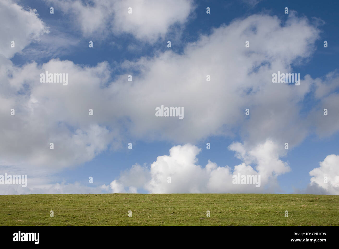 Green grass and clouds in blue sky Stock Photo - Alamy