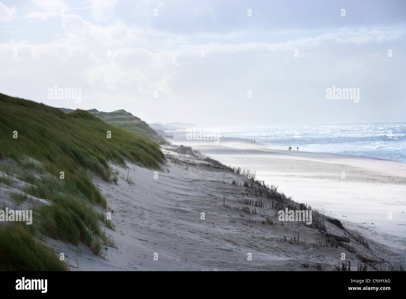 Sand dunes and beach of Sylt, Schleswig-Holstein, Germany Stock Photo ...