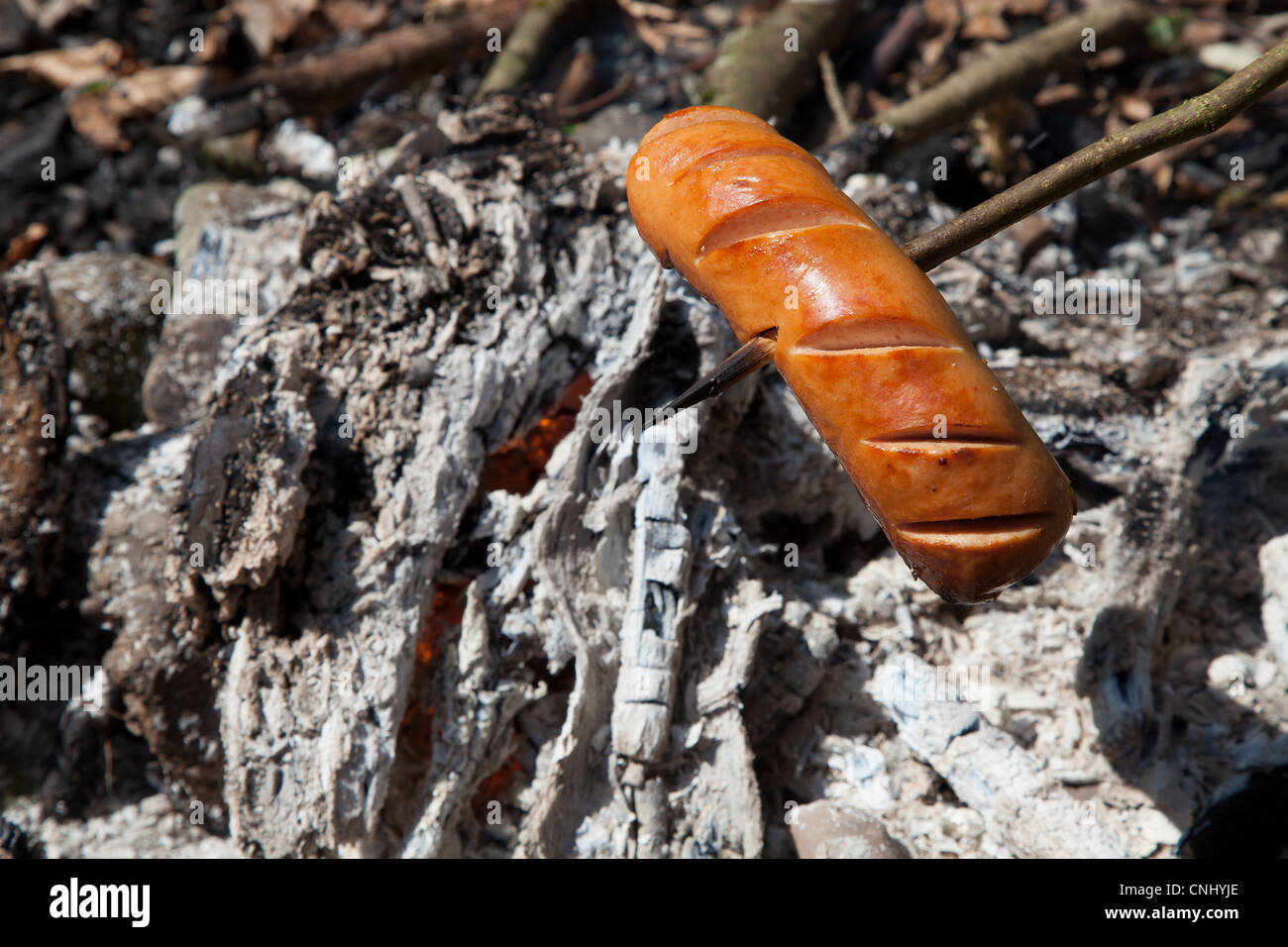 Sausage roasting on fire, outdoor activity, barbecue Stock Photo - Alamy