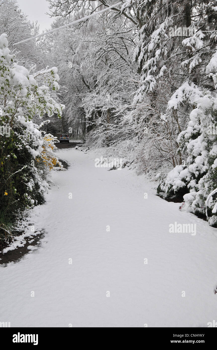 Untouched snow hi-res stock photography and images - Alamy