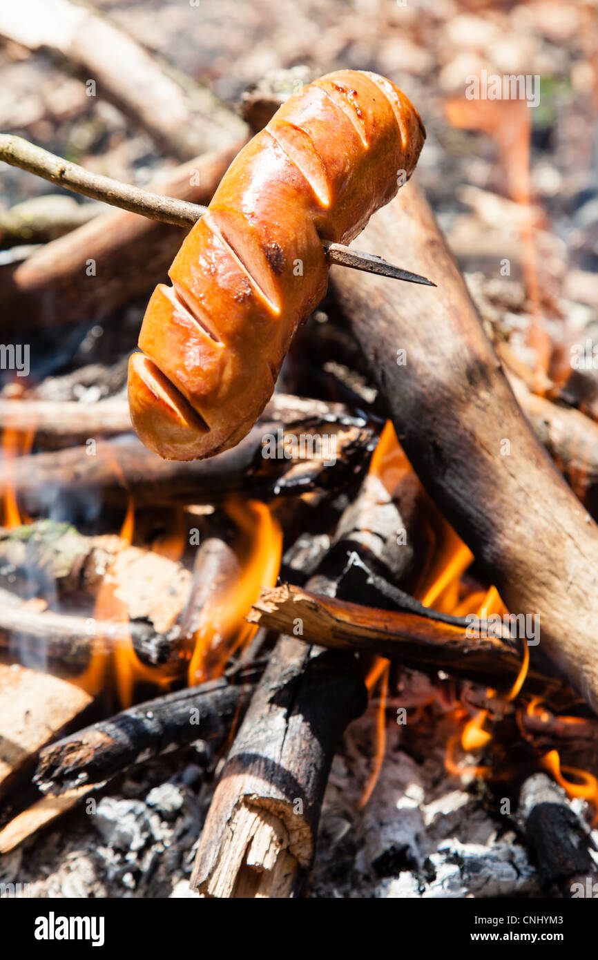 Sausage roasting on fire, outdoor activity, barbecue Stock Photo - Alamy