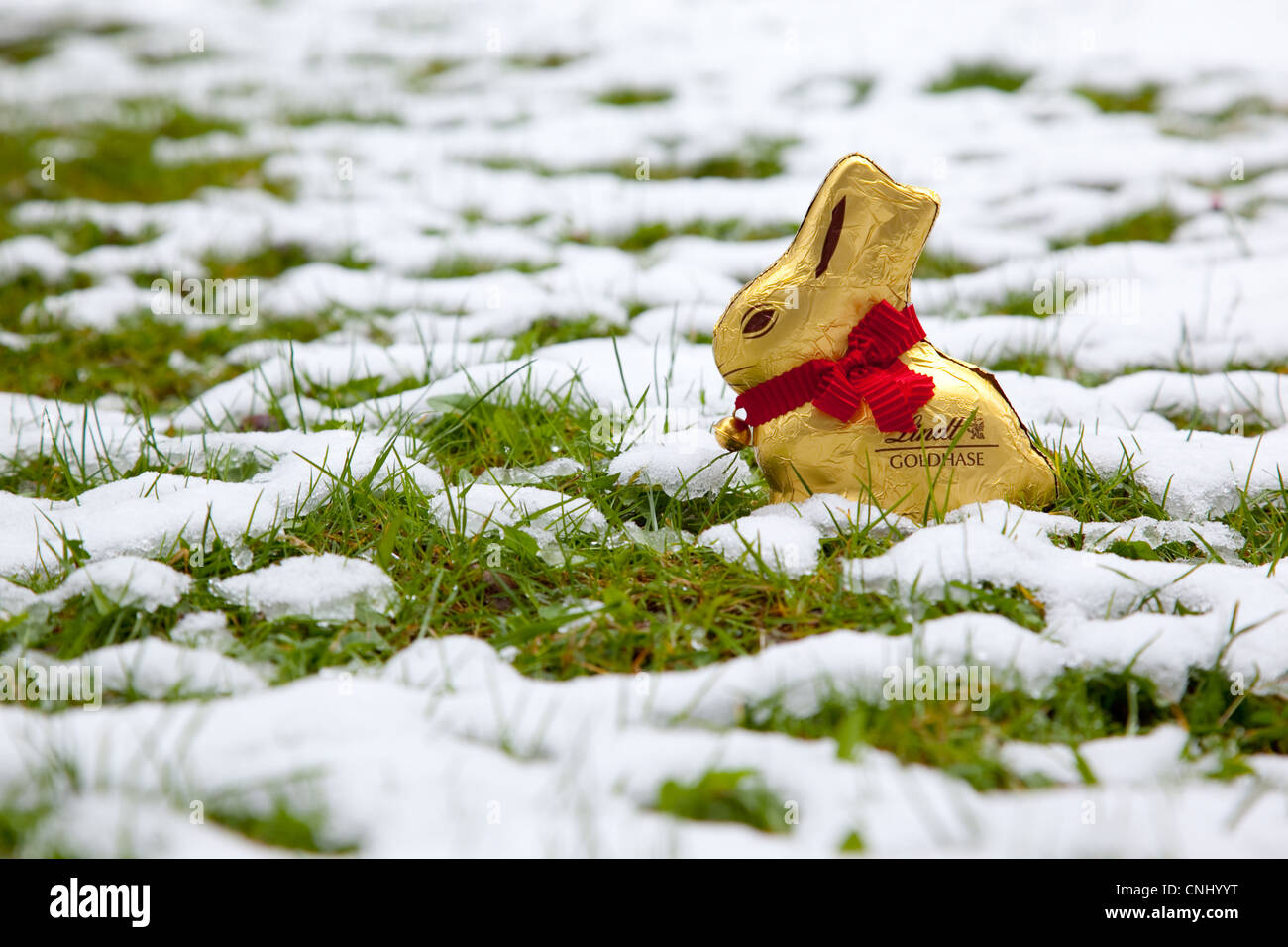 Golden chocolate hi-res stock photography and images - Alamy