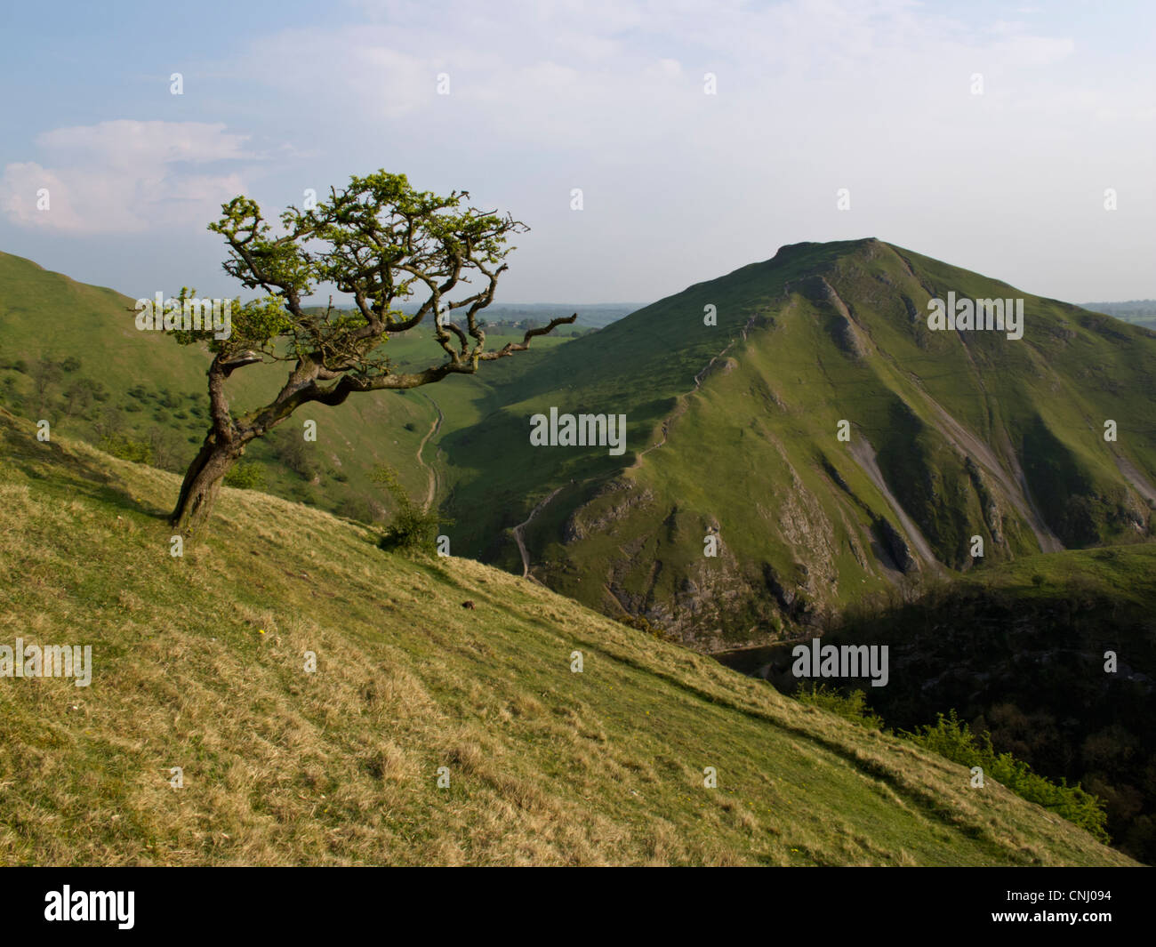 Dovedale valley a popular tourist destination in the Derbyshire Peak ...
