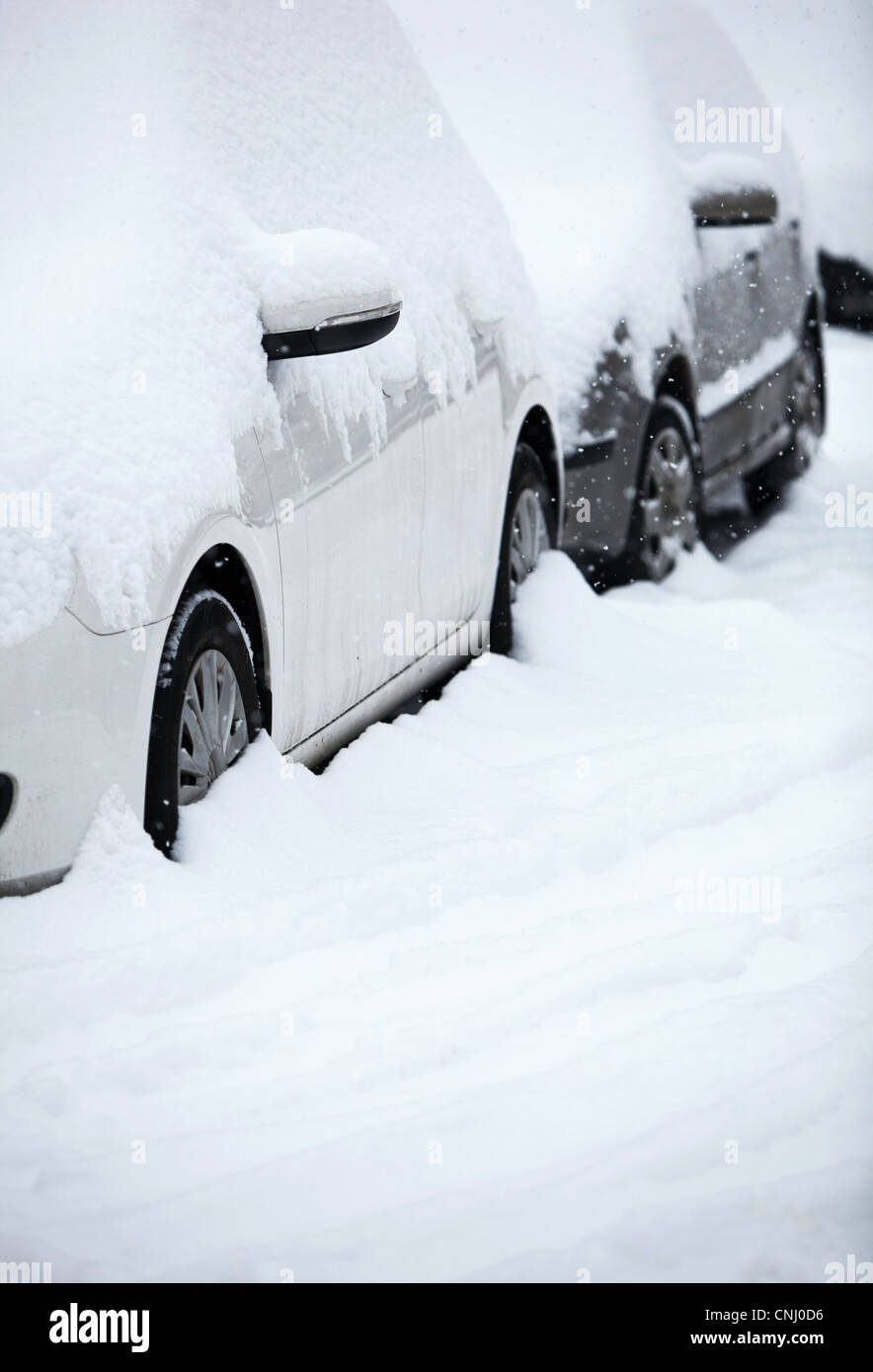 cars covered with snow after a heavy snowfall in a city Stock Photo - Alamy