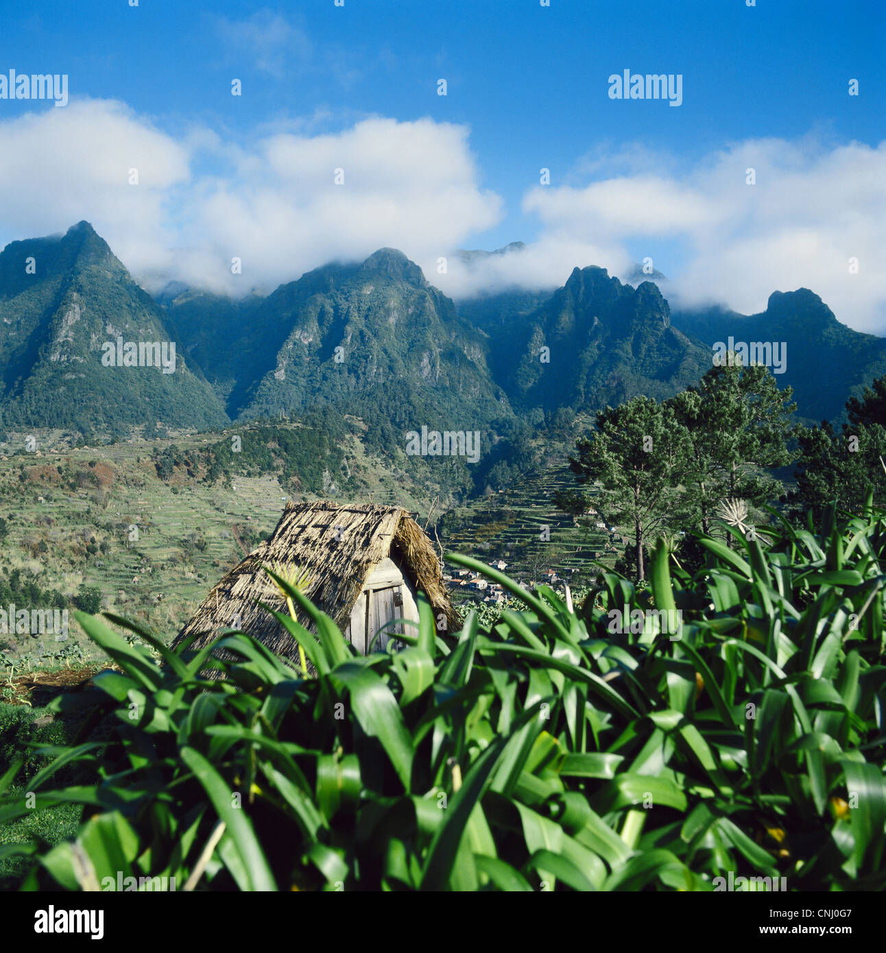 Inland madeira hi-res stock photography and images - Alamy