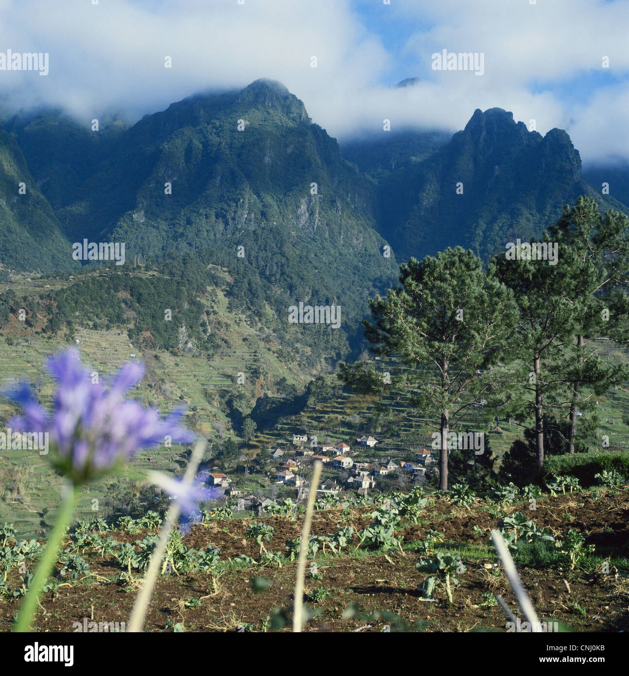 Inland madeira hi-res stock photography and images - Alamy