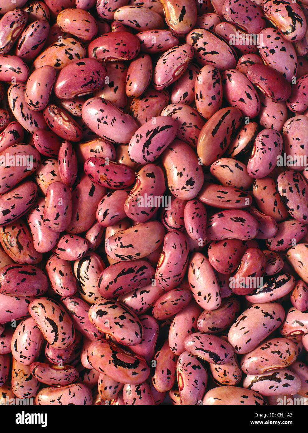 Dried Runner Beans High Resolution Stock Photography and Images - Alamy