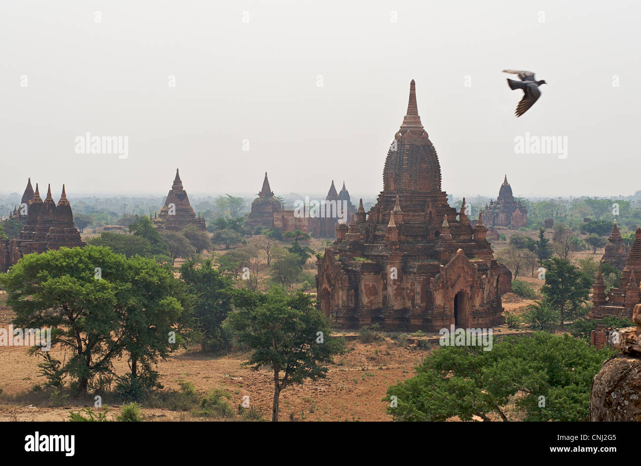 View across the plain of Bagan. Burma. Ancient stupas Stock Photo - Alamy